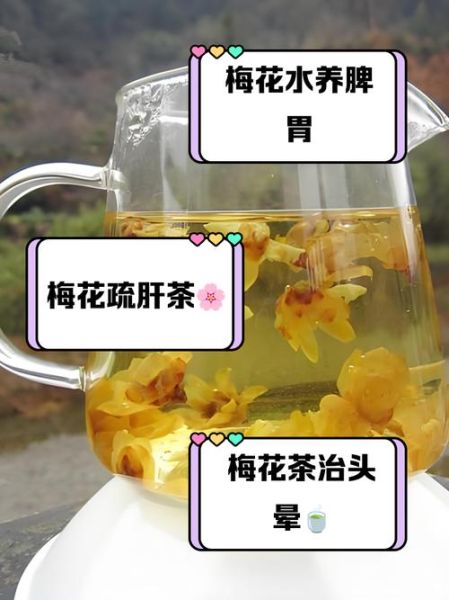 腊梅花泡水喝的功效与作用_腊梅花茶适合什么人喝-第1张图片-山城妙识