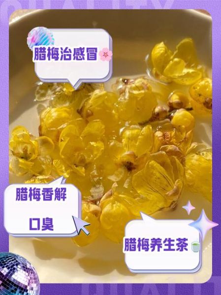 腊梅花泡水喝的功效与作用_腊梅花茶适合什么人喝-第3张图片-山城妙识