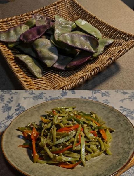 扁豆图片大全大图高清_扁豆怎么做好吃-第1张图片-山城妙识 扁豆图片大全大图高清_扁豆怎么做好吃-第1张图片-山城妙识