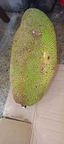 菠萝蜜一天吃了十颗会怎么样_一天吃十颗菠萝蜜会胖吗-第1张图片-山城妙识