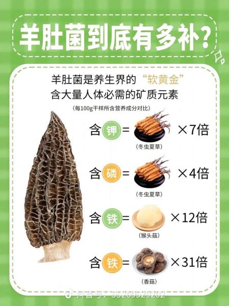 羊肚蘑菇的功效与作用_羊肚蘑菇怎么吃最营养-第1张图片-山城妙识