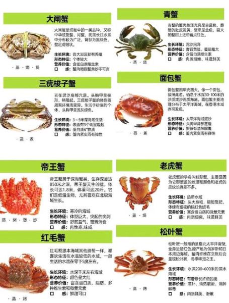 新手怎么吃螃蟹_螃蟹怎么吃图解-第2张图片-山城妙识