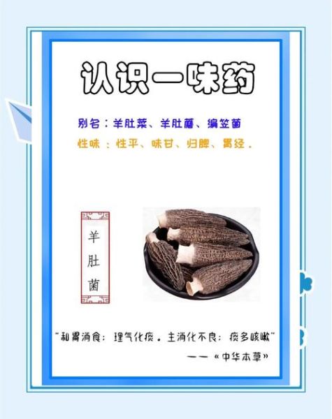 羊肚蘑菇的功效与作用_羊肚蘑菇怎么吃最营养-第3张图片-山城妙识