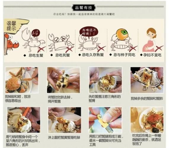 新手怎么吃螃蟹_螃蟹怎么吃图解-第1张图片-山城妙识