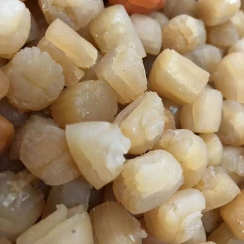 海产品干货批发市场在哪_怎么挑选优质干贝-第1张图片-山城妙识