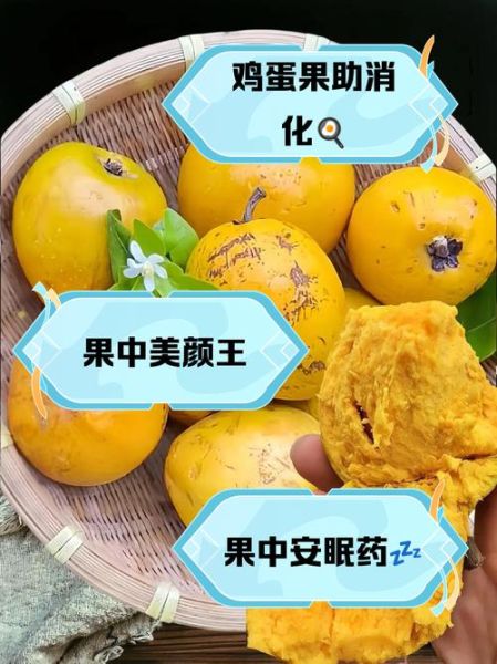 鸡蛋果的功效与作用_鸡蛋果的禁忌有哪些-第2张图片-山城妙识