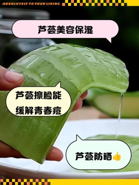 生芦荟擦脸的正确步骤_生芦荟可以直接涂脸吗-第3张图片-山城妙识