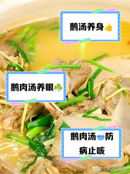 鹅肉补阴汤怎么做_鹅肉补阴汤适合哪些人-第2张图片-山城妙识