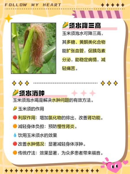 玉米须泡水喝能减肥吗_玉米须减肥真相-第3张图片-山城妙识