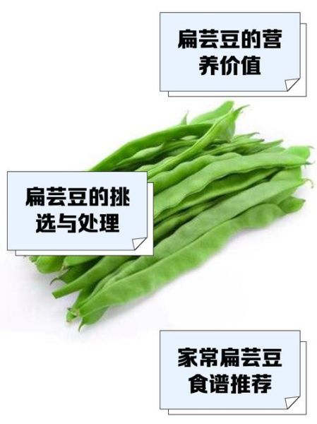 扁芸豆怎么种_扁芸豆什么时候采收-第1张图片-山城妙识