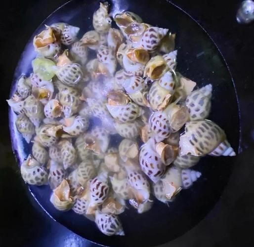 香螺哪里不能吃_香螺内脏位置图解-第2张图片-山城妙识