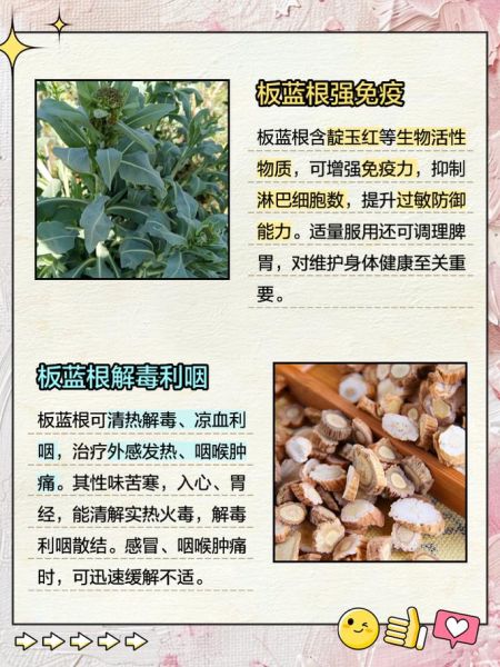 板蓝根冲剂的功效与作用_板蓝根冲剂禁忌有哪些-第3张图片-山城妙识