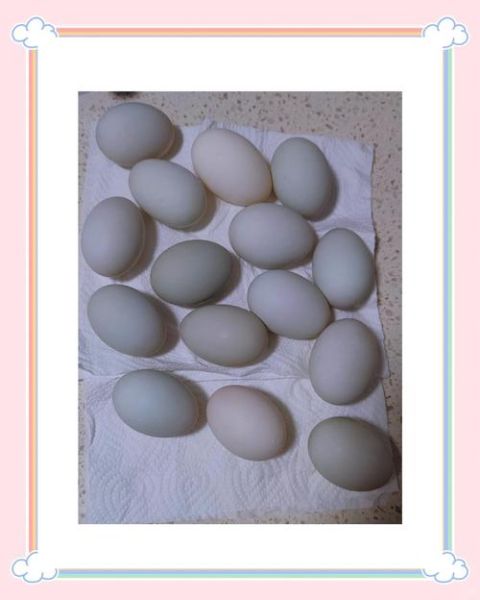 咸鸭蛋怎么腌制才出油_咸鸭蛋出油窍门-第3张图片-山城妙识 咸鸭蛋怎么腌制才出油_咸鸭蛋出油窍门-第3张图片-山城妙识