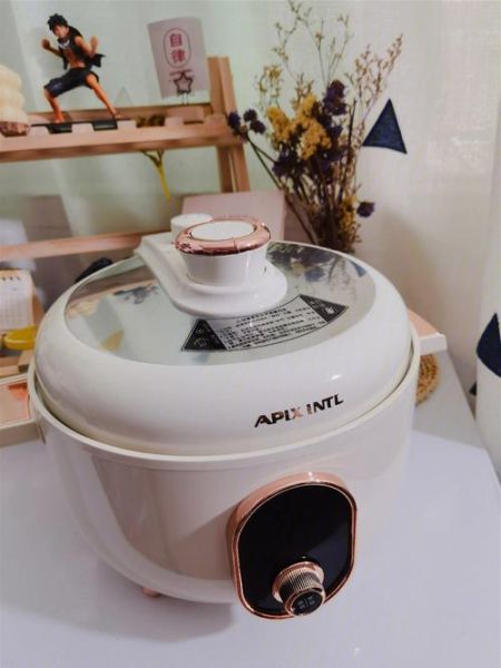 电压力锅焖鸡要多久_电压力锅焖鸡做法步骤-第3张图片-山城妙识