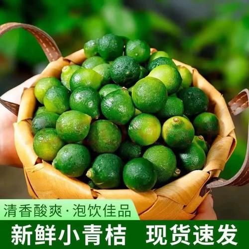 青金桔和青柠檬的区别_哪个更酸-第2张图片-山城妙识