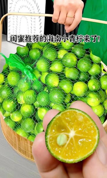 青金桔和青柠檬的区别_哪个更酸-第3张图片-山城妙识