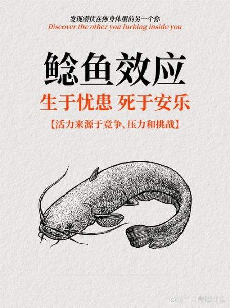 鲶鱼效应是什么意思_如何应用到团队管理-第1张图片-山城妙识 鲶鱼效应是什么意思_如何应用到团队管理-第1张图片-山城妙识