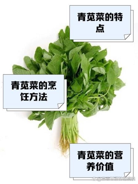 青苋菜的功效与作用_青苋菜怎么吃最营养-第1张图片-山城妙识