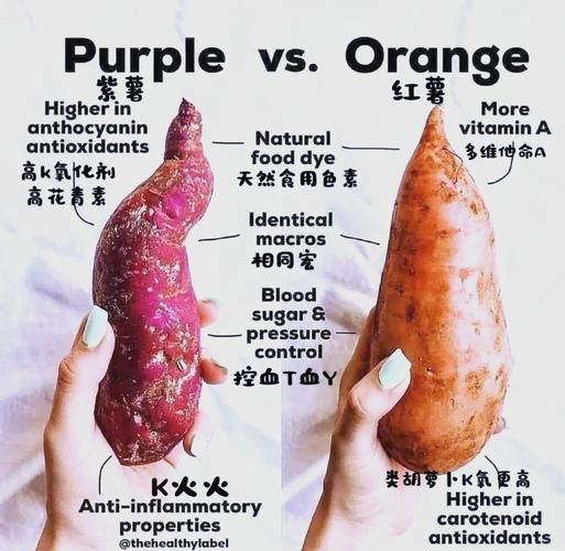 紫薯和红薯哪个更营养_紫薯和红薯的区别-第1张图片-山城妙识