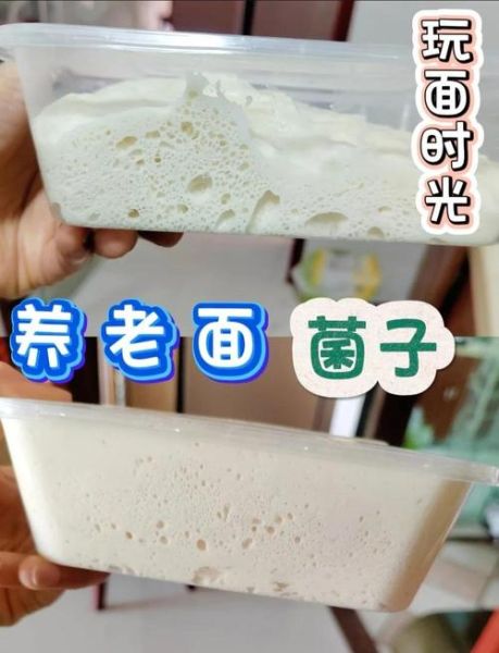 自制馒头不用发酵粉怎么做_老面引子做法-第2张图片-山城妙识