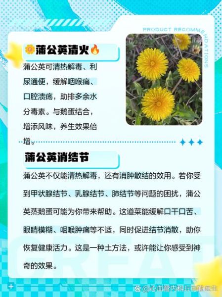 蒸蒲公英怎么做才好吃_蒸蒲公英的家常做法-第2张图片-山城妙识 蒸蒲公英怎么做才好吃_蒸蒲公英的家常做法-第2张图片-山城妙识