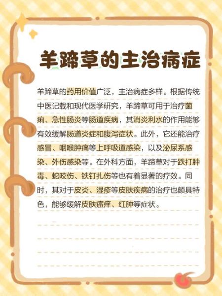 羊蹄菜的功效与作用_羊蹄菜怎么吃最好-第1张图片-山城妙识