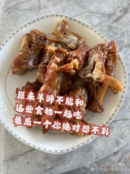 羊蹄菜的功效与作用_羊蹄菜怎么吃最好-第3张图片-山城妙识