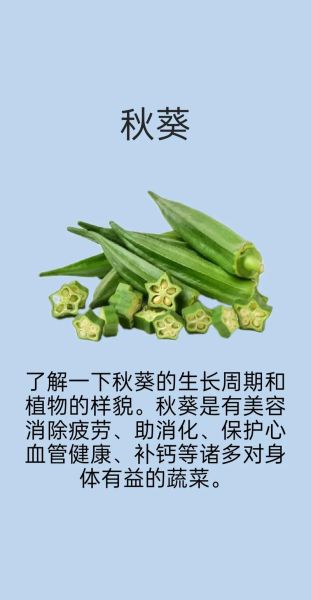 秋葵不适宜什么人吃_哪些人群要少吃秋葵-第3张图片-山城妙识 秋葵不适宜什么人吃_哪些人群要少吃秋葵-第3张图片-山城妙识