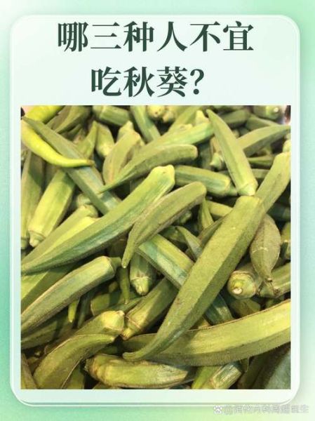 秋葵不适宜什么人吃_哪些人群要少吃秋葵-第2张图片-山城妙识 秋葵不适宜什么人吃_哪些人群要少吃秋葵-第2张图片-山城妙识