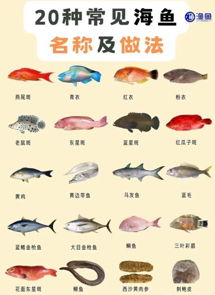 海鱼品种大全及名字_哪些海鱼适合清蒸-第1张图片-山城妙识 海鱼品种大全及名字_哪些海鱼适合清蒸-第1张图片-山城妙识