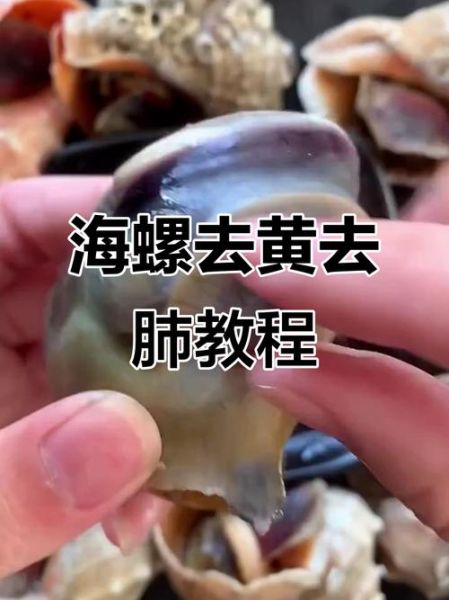 为什么好多人都吃海螺屎_海螺屎到底能不能吃-第2张图片-山城妙识