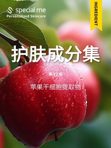 苹果干细胞真的有效吗_美丽集团苹果干细胞使用方法-第3张图片-山城妙识