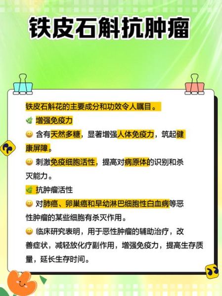 铁皮石斛花有什么功效_铁皮石斛花怎么泡水喝-第1张图片-山城妙识