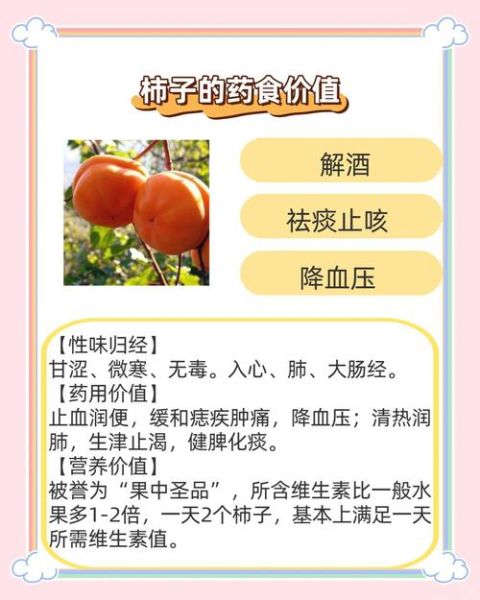 柿子的营养价值及功效_吃柿子有哪些禁忌-第2张图片-山城妙识