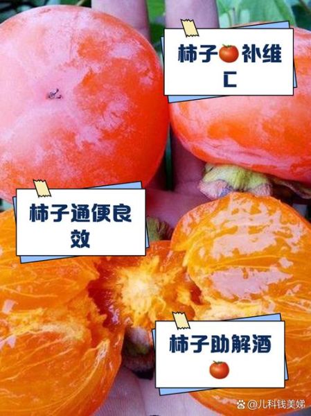 柿子的营养价值及功效_吃柿子有哪些禁忌-第3张图片-山城妙识
