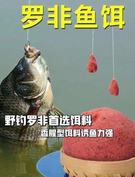 罗非鱼怎么钓_罗非鱼用什么饵料最好-第1张图片-山城妙识