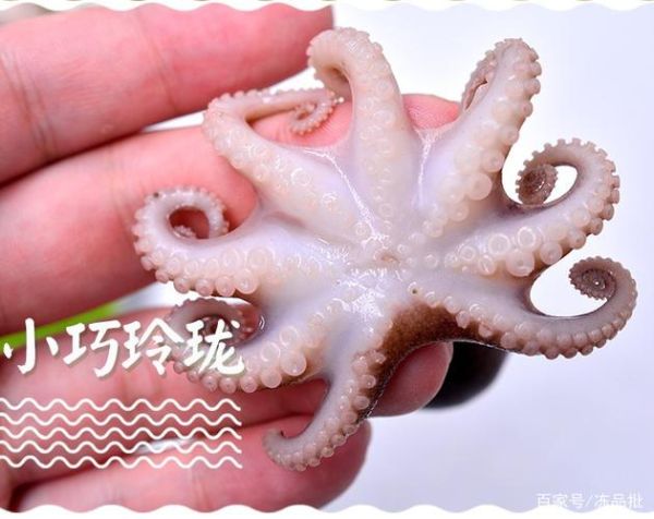 美味海洋2怎么玩_美味海洋2隐藏鱼解锁-第2张图片-山城妙识