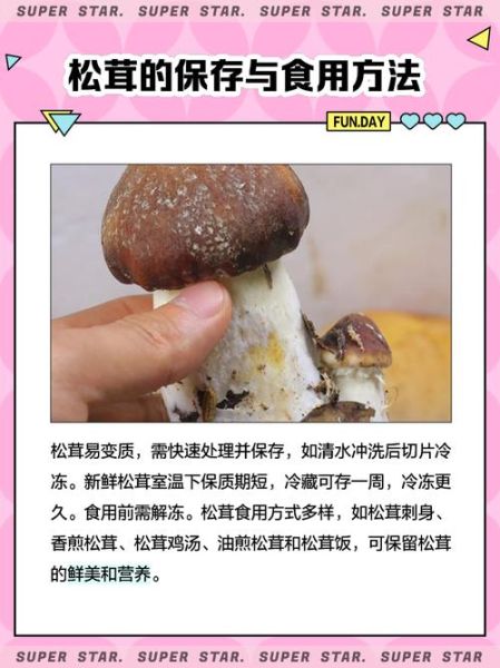 松茸蘑菇多少钱一斤_为什么价格差距这么大-第1张图片-山城妙识