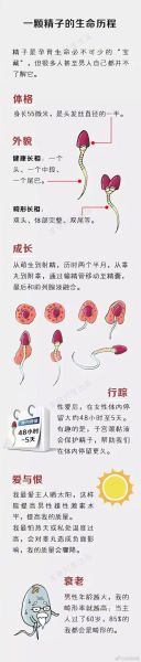 精子是否进入体内_如何判断受孕几率-第1张图片-山城妙识