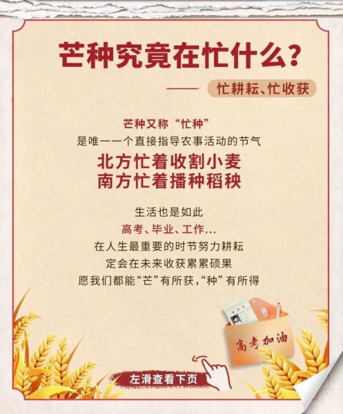 芒种吃什么传统食物_芒种节气必吃哪三样-第3张图片-山城妙识