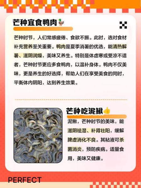 芒种吃什么传统食物_芒种节气必吃哪三样-第2张图片-山城妙识