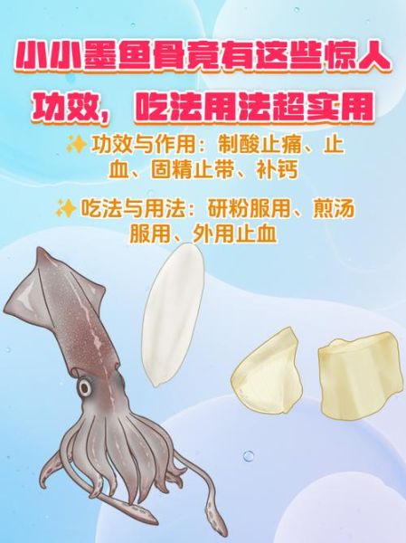 墨鱼骨头功效与作用_墨鱼骨头禁忌人群-第1张图片-山城妙识 墨鱼骨头功效与作用_墨鱼骨头禁忌人群-第1张图片-山城妙识