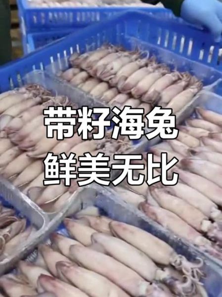 海兔和鱿鱼的区别_海兔是不是鱿鱼-第1张图片-山城妙识