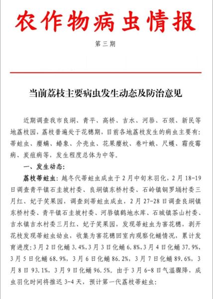 荔枝病是什么症状_荔枝病怎么预防-第3张图片-山城妙识