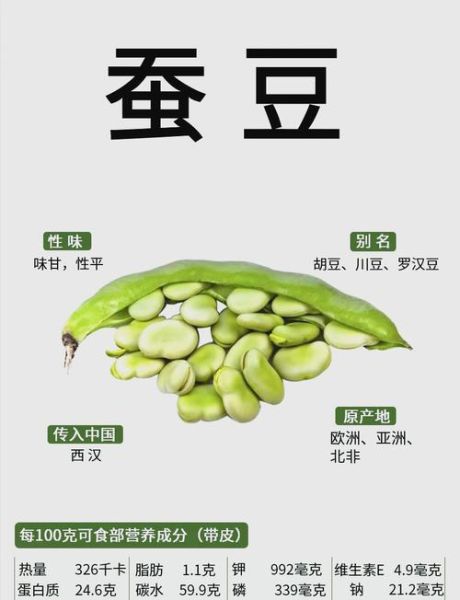 蚕豆的营养价值及功效与作用禁忌_蚕豆吃多了有什么坏处-第1张图片-山城妙识