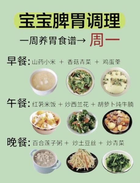 营养午餐食谱大全_孩子吃什么最健康-第2张图片-山城妙识 营养午餐食谱大全_孩子吃什么最健康-第2张图片-山城妙识