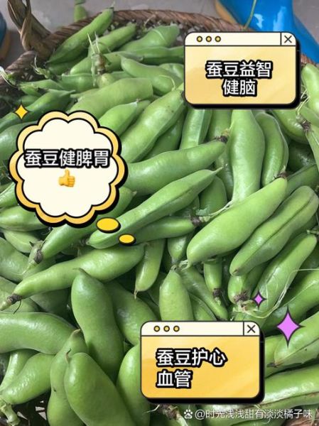 蚕豆的营养价值及功效与作用禁忌_蚕豆吃多了有什么坏处-第3张图片-山城妙识