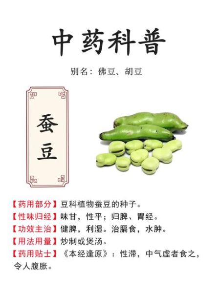 蚕豆的营养价值及功效与作用禁忌_蚕豆吃多了有什么坏处-第2张图片-山城妙识