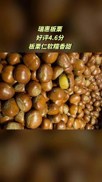 板栗批发价格多少钱一斤_2024最新行情-第2张图片-山城妙识 板栗批发价格多少钱一斤_2024最新行情-第2张图片-山城妙识