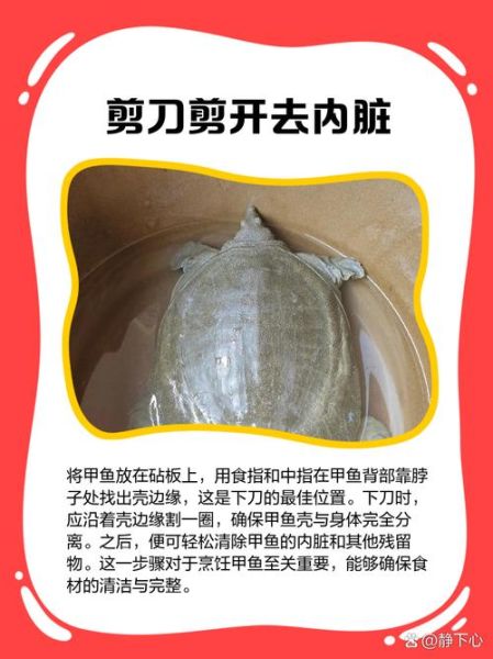 开水烫甲鱼杀法_甲鱼怎么处理干净-第2张图片-山城妙识 开水烫甲鱼杀法_甲鱼怎么处理干净-第2张图片-山城妙识